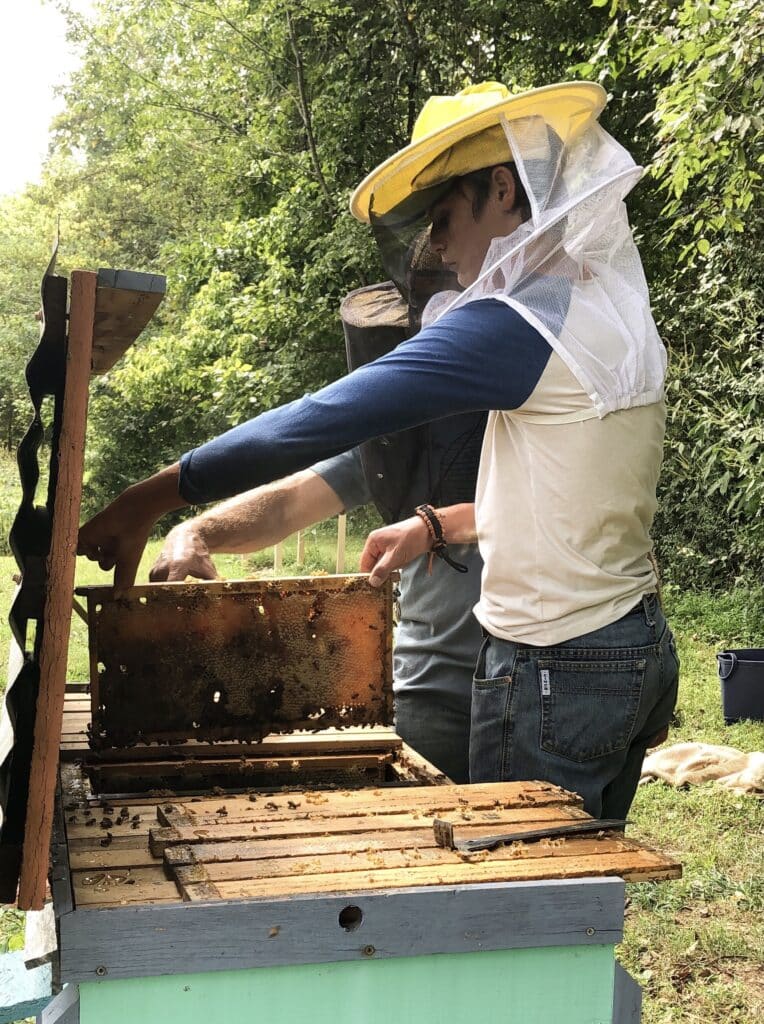 Bee Kept Bootcamp - Bee Kept