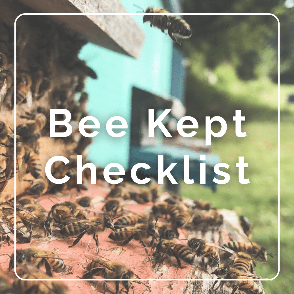 6 Steps to Bee Kept By Bees Download - Bee Kept
